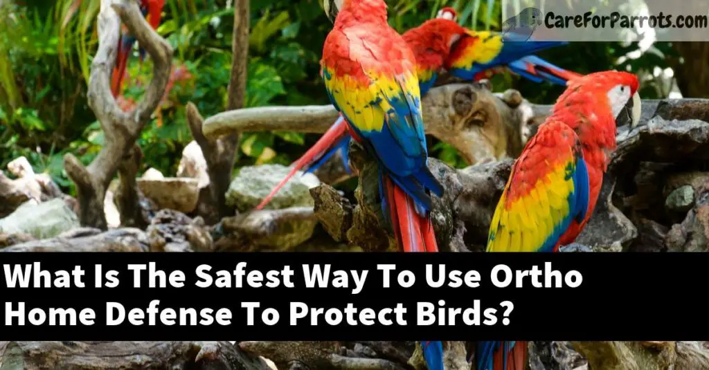 What Is The Safest Way To Use Ortho Home Defense To Protect Birds ...